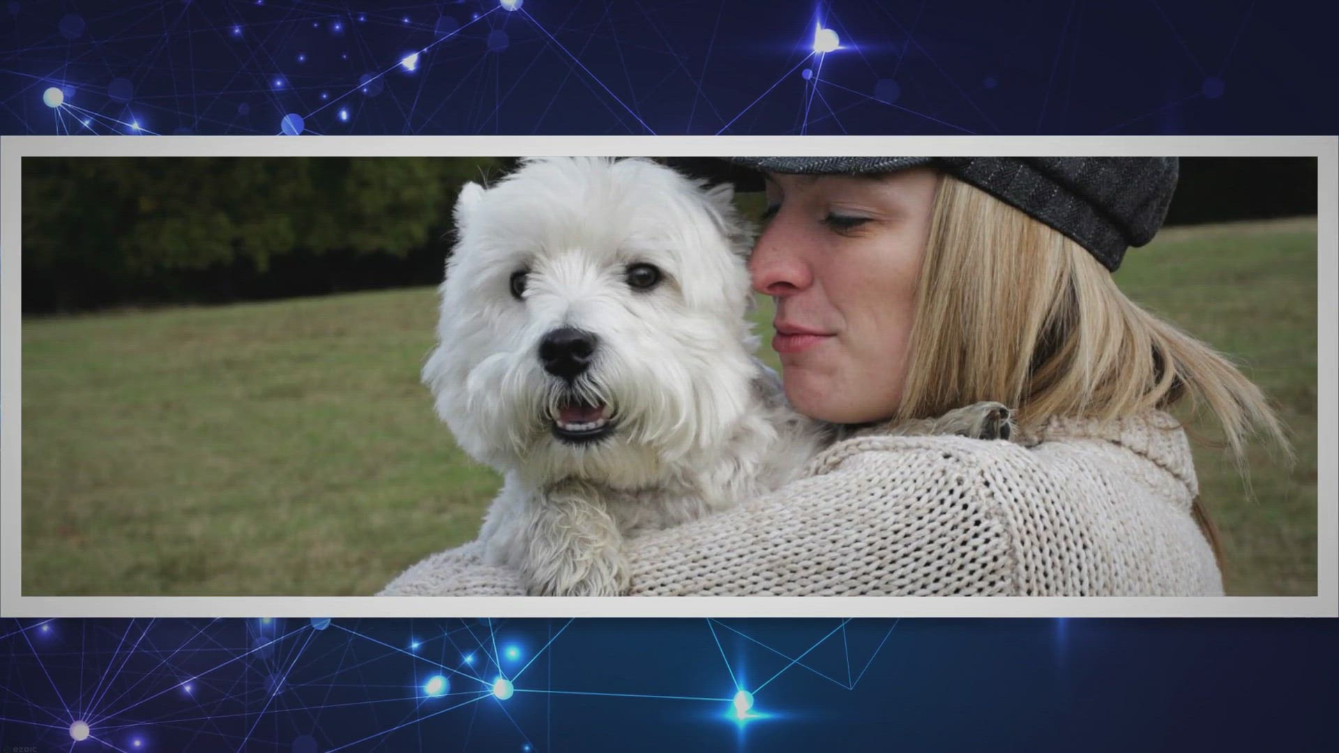 How Do You Train A Westie Puppy