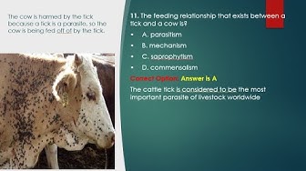 BioEd Videos - BIOLOGY JUNCTION