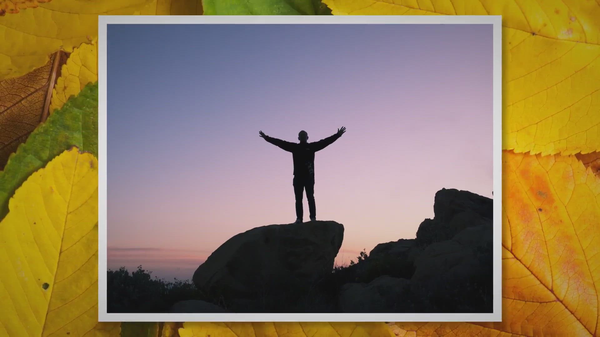 53 Law Of Assumption Affirmations To Manifest Anything You Want ...