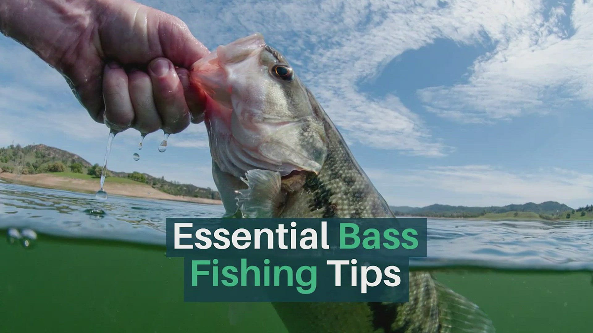 Bass Fishing Tips