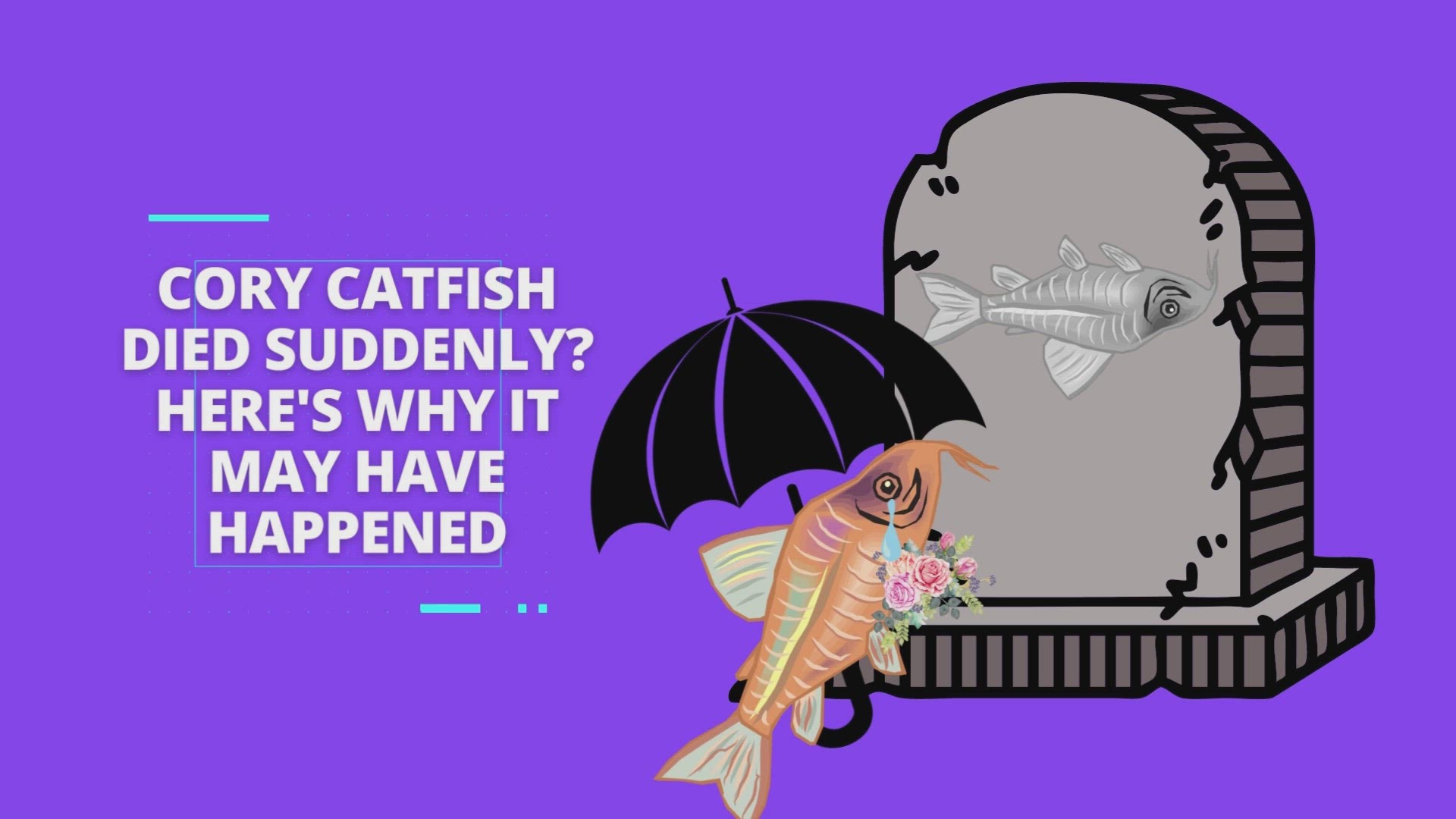 Cory Catfish Died Suddenly Here's Why It May Have Hap...
